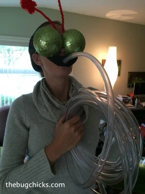 DIY Bug Halloween Costumes — The Bug Chicks