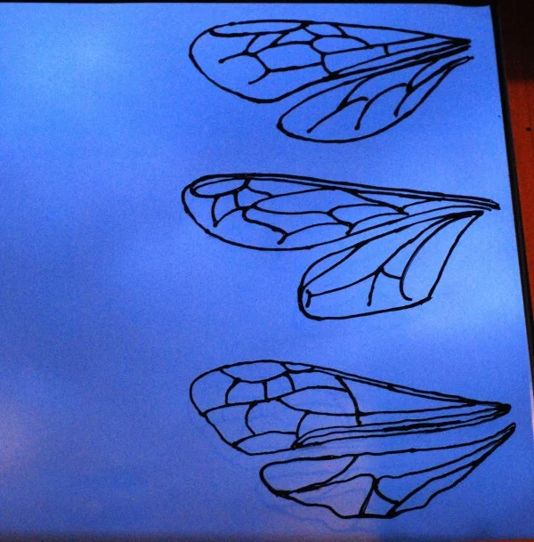 Bug Craft: Window Wings — The Bug Chicks