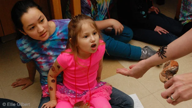 The Future of Women's History — The Bug Chicks