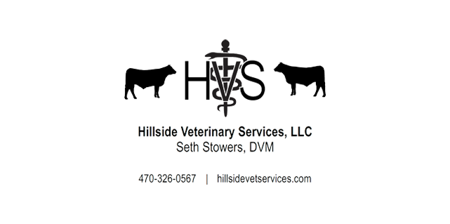 Rough Stock Rodeo — Cumming Fairgrounds