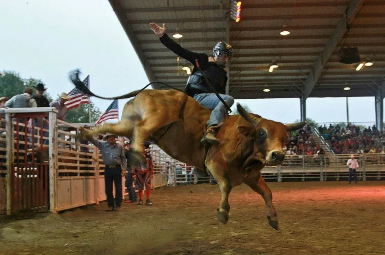 Overview — Cumming Fairgrounds