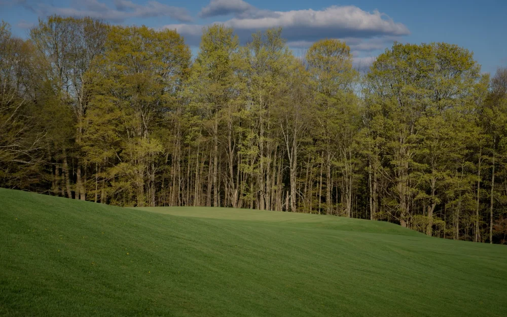The Course — Sullivan County Golf Club