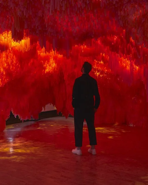 Bloom Bloom — Wonderspaces
