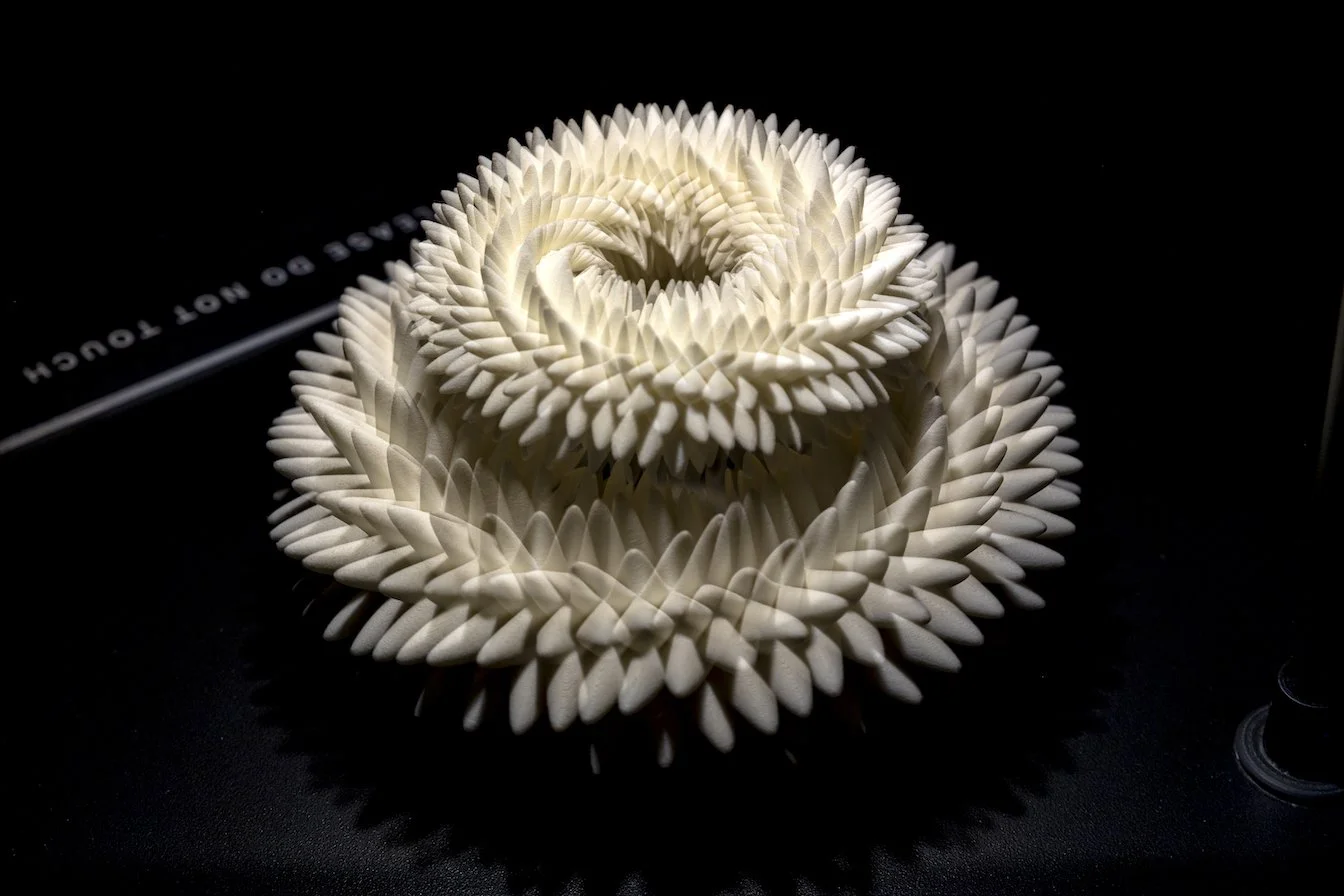 Blooms — Wonderspaces