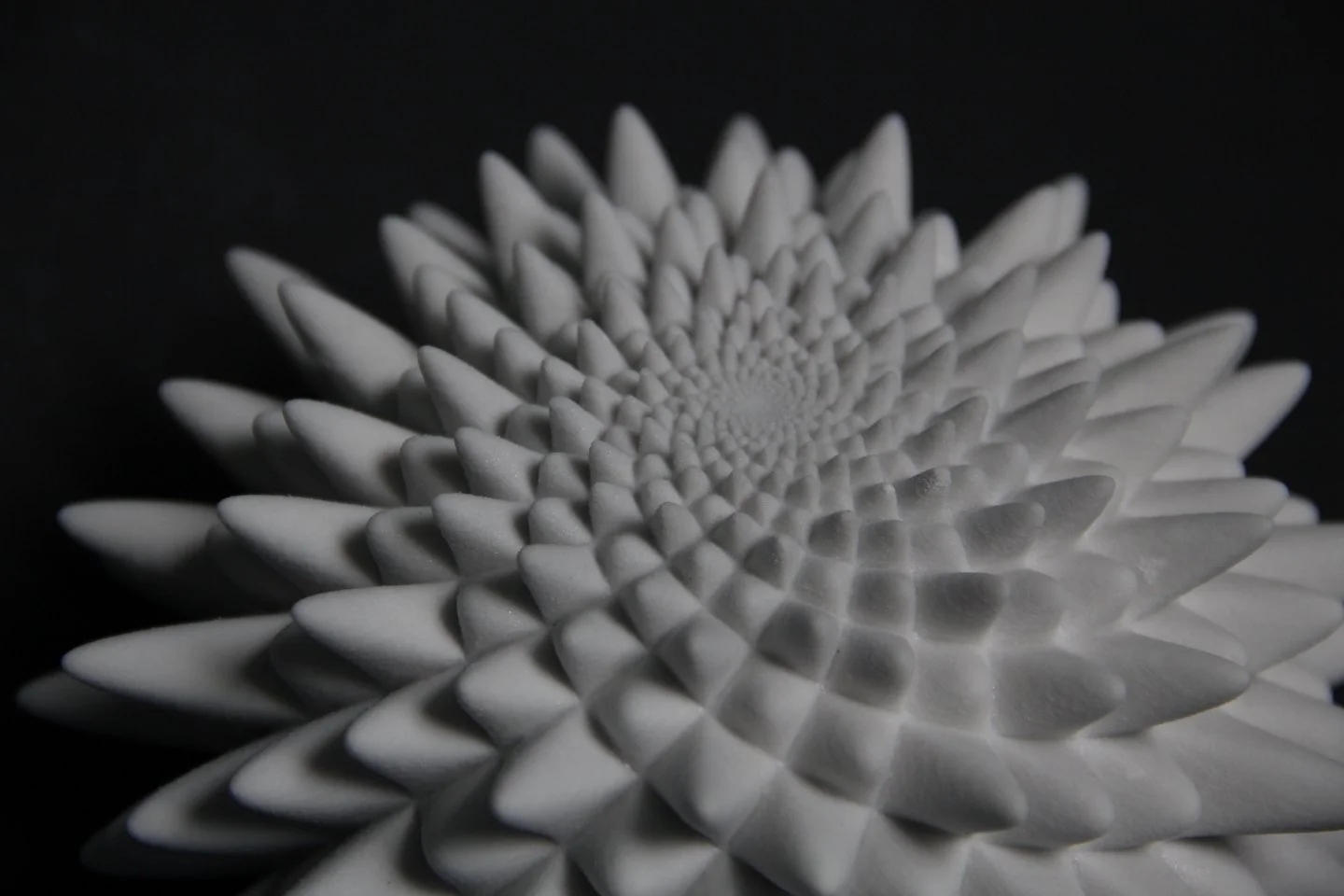 Blooms — Wonderspaces