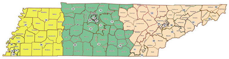 TN DISTRICT MAPS — TNDEMCCA