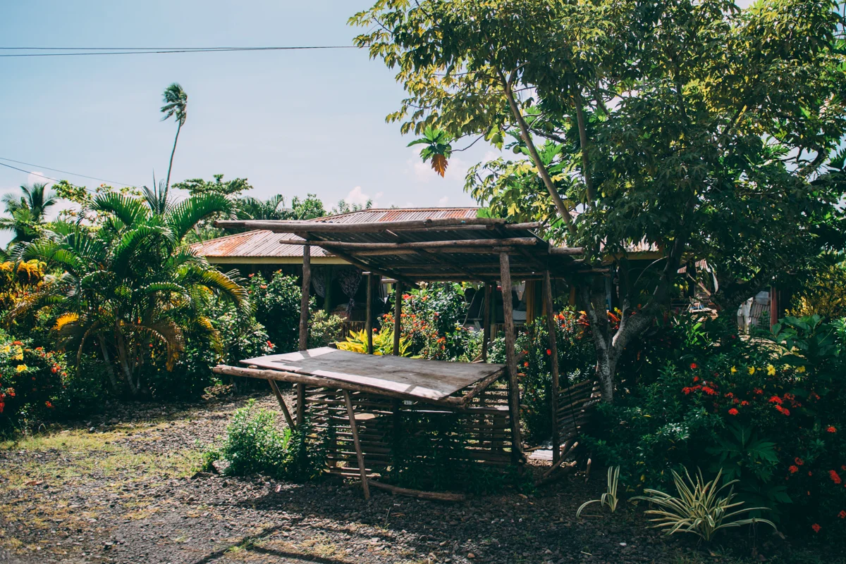 Samoa — Lola Photography