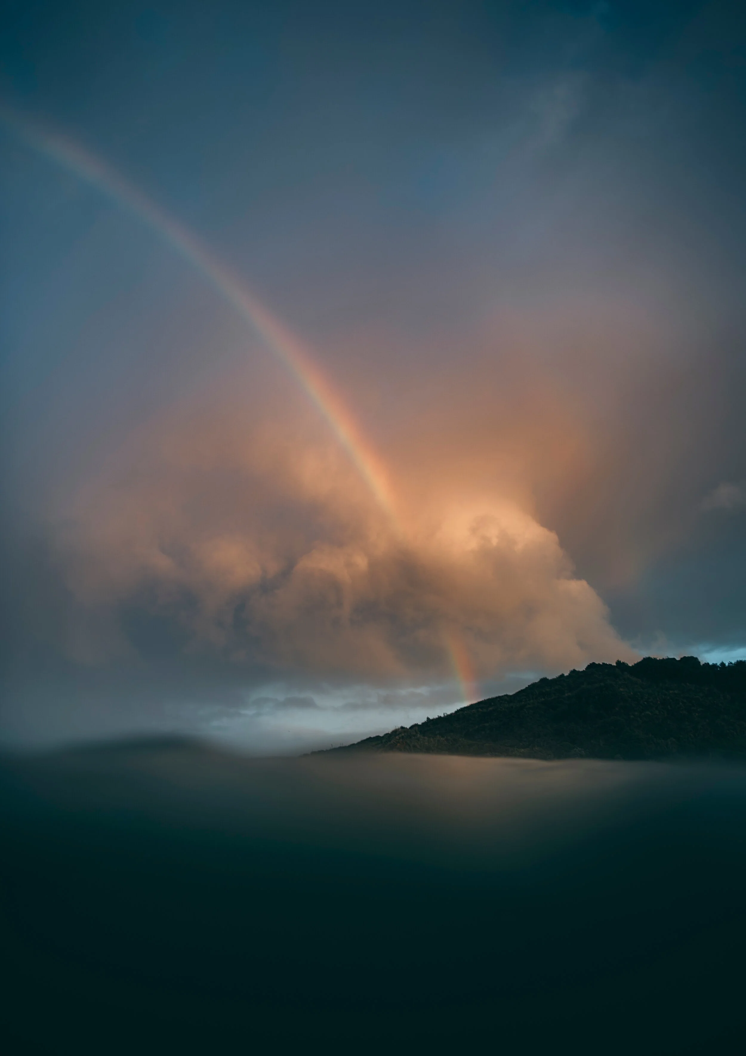 SHOP — Lola Photography