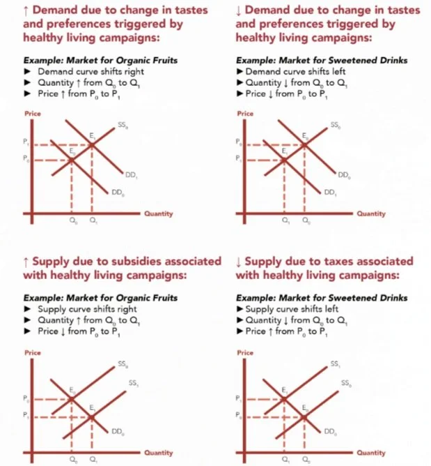 Master Market Equilibrium Concepts with Expert Econs Tuition ...