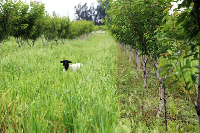 We're Hiring! — Land Core