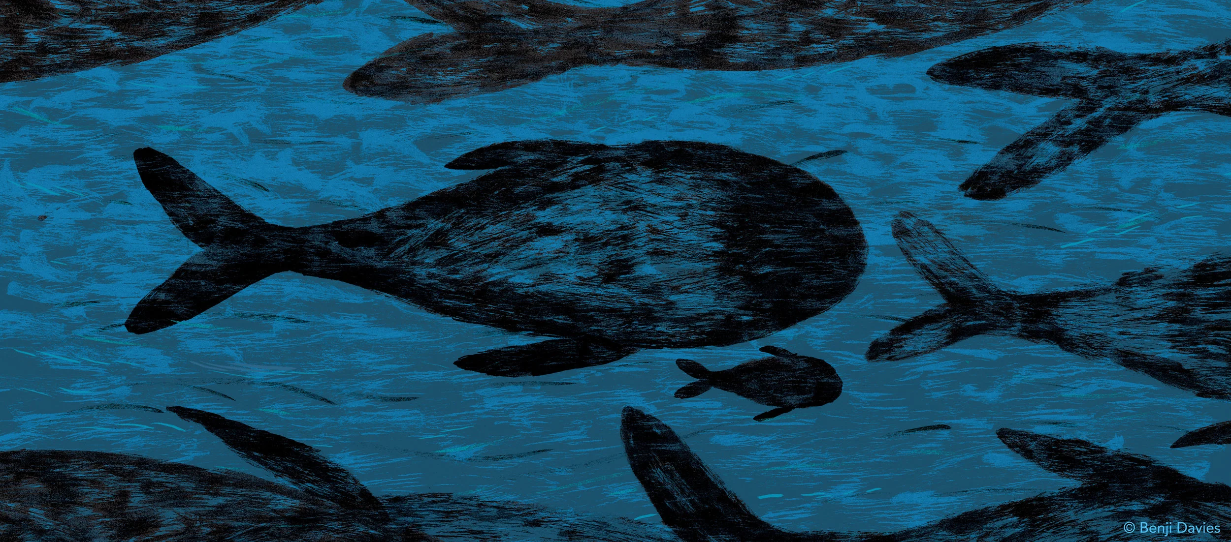 The Storm Whale — Benji Davies