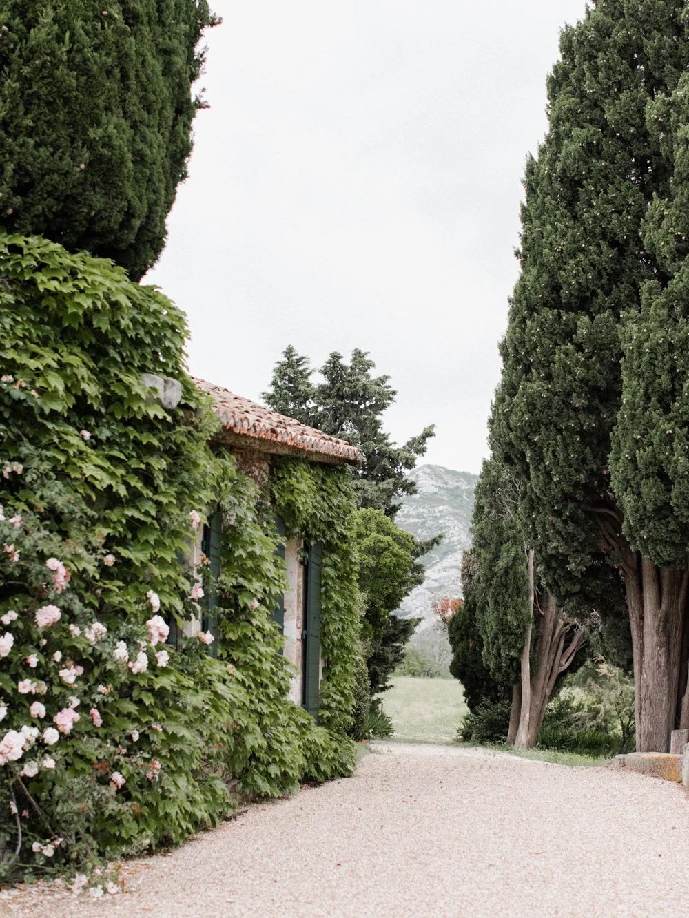 Billy & Isabelle - Saint Rémy de Provence, France — RORY WYLIE