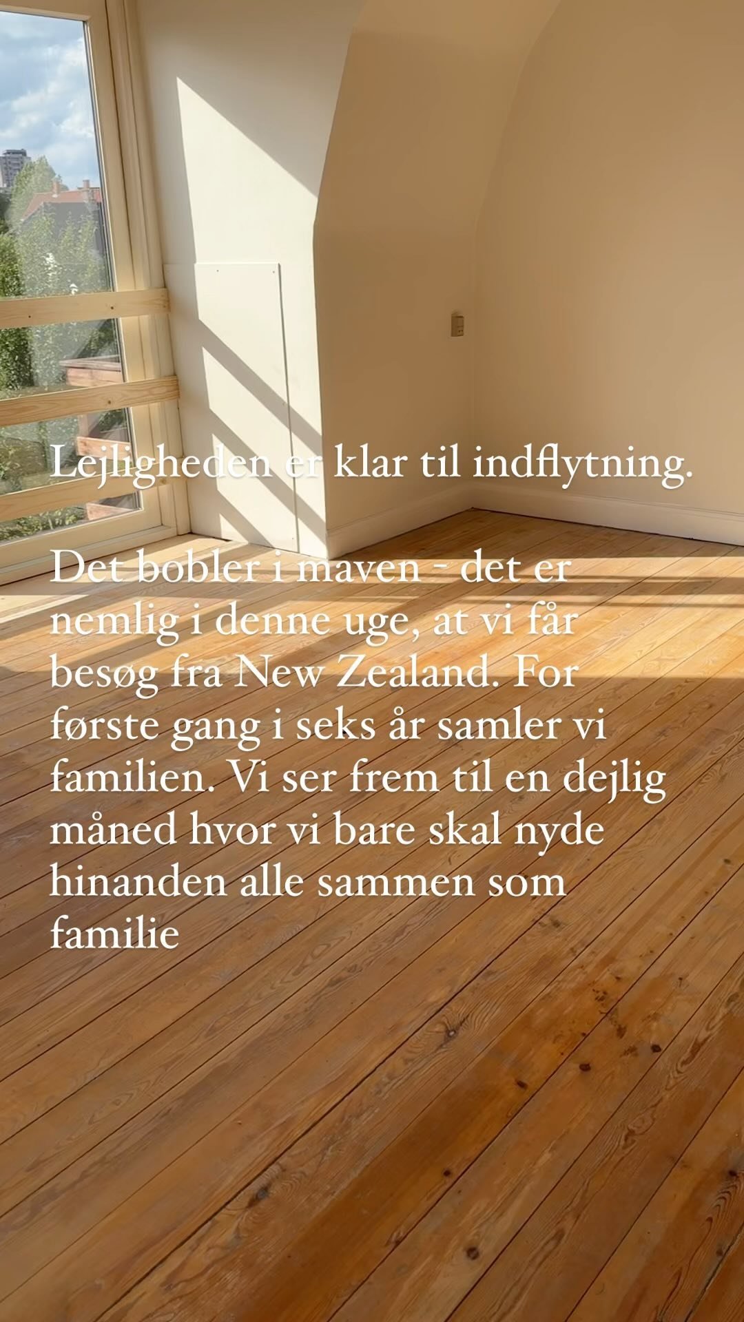 Nyt liv til trætte orkideer — Seniortiden