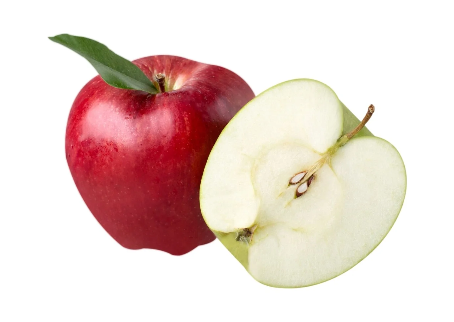 Anatomy Of An Apple