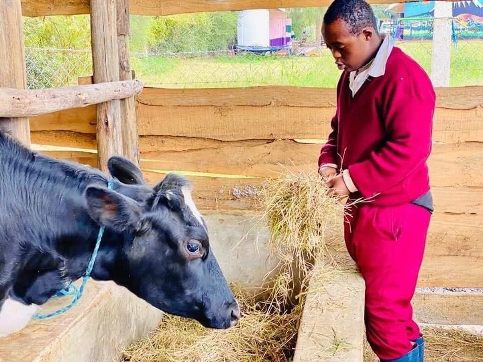 Step-by-Step Learning Centre — Accessible Hope International