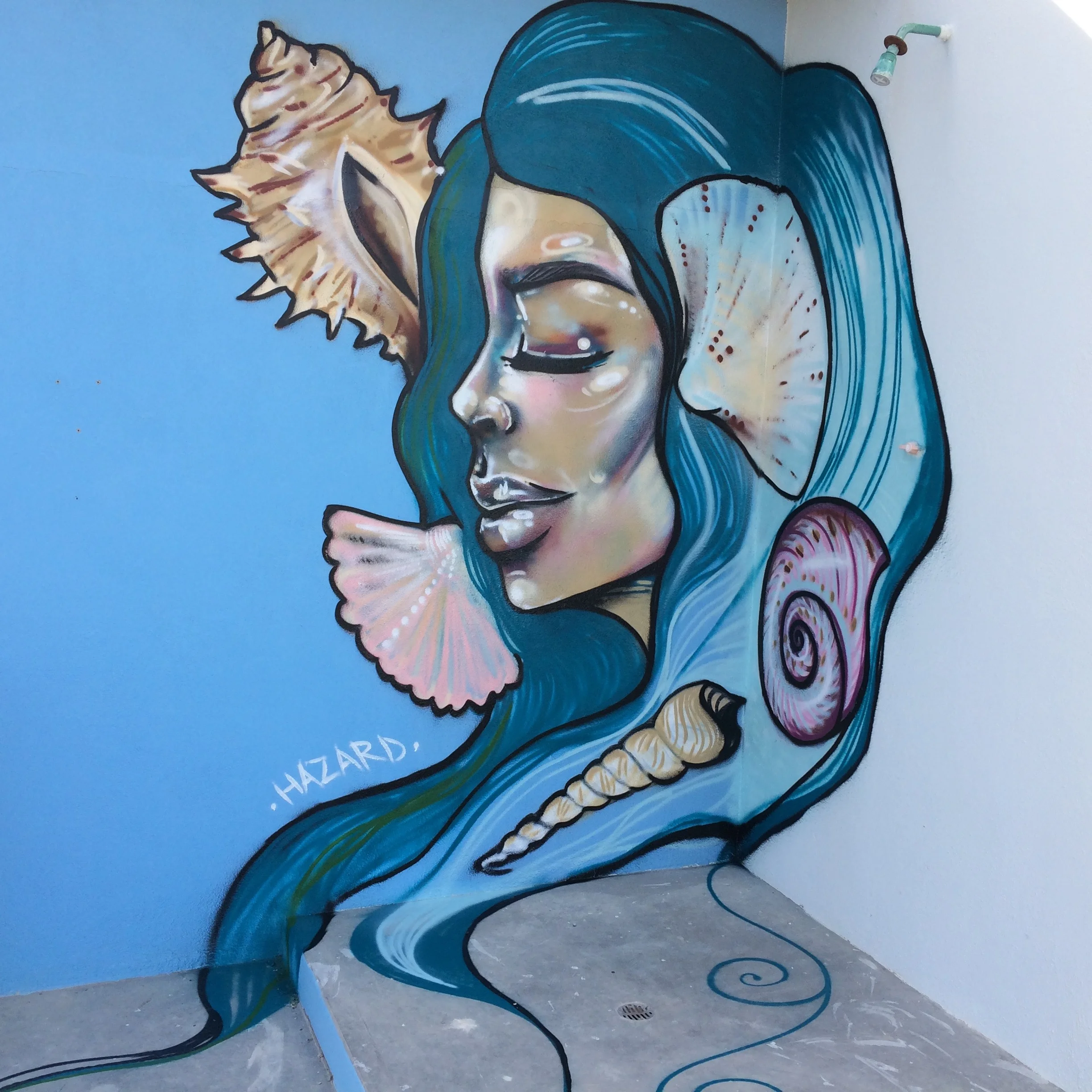 Hazard's Portfolio — Hazard | Graffiti Artist, Illustrator & Designer