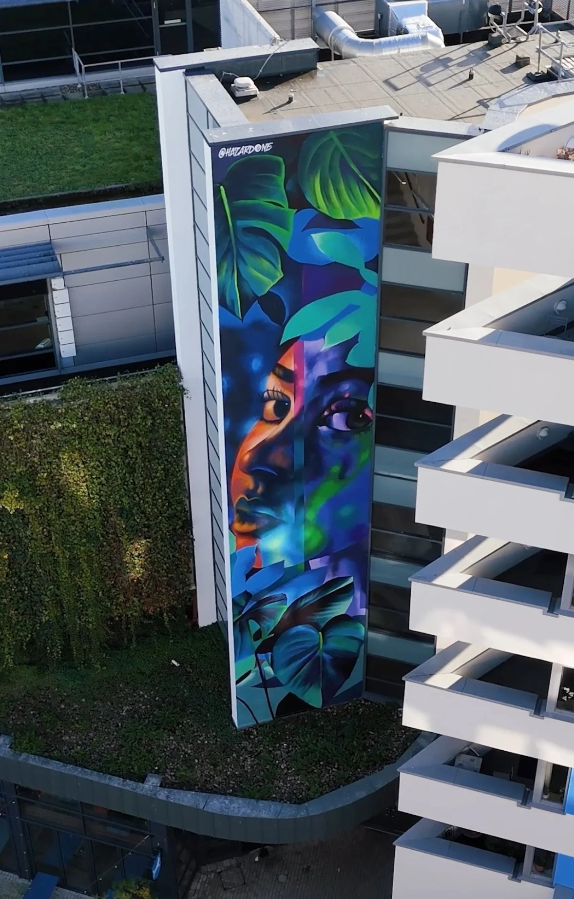 Hazard's Portfolio — Hazard | Graffiti Artist, Illustrator & Designer