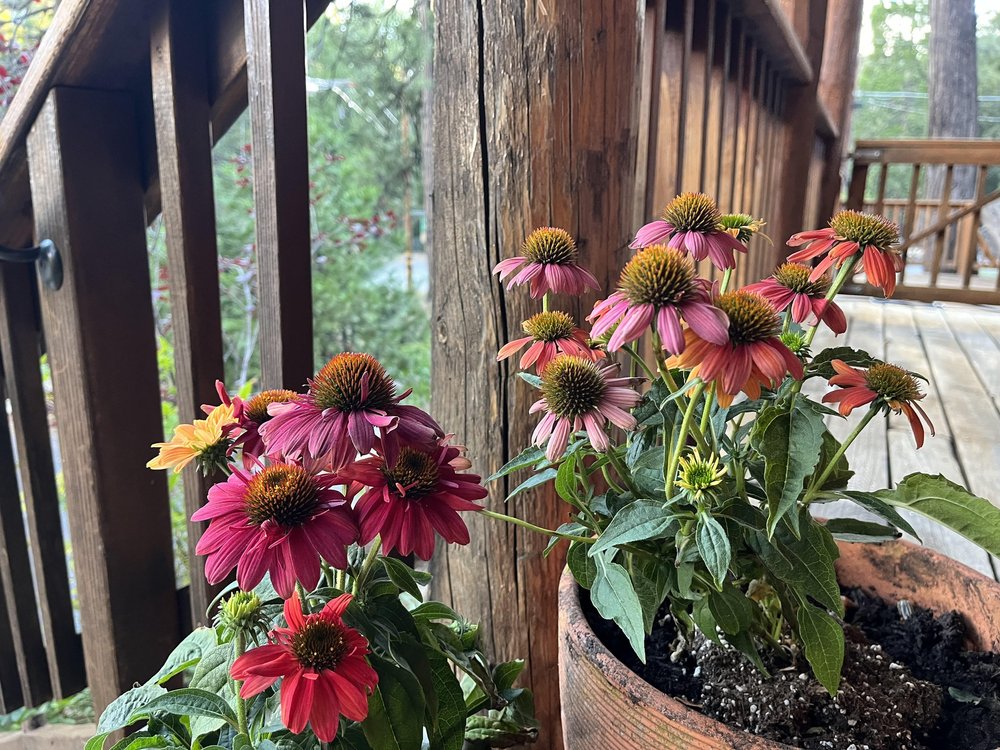 Rooms — The FIRESIDE INN