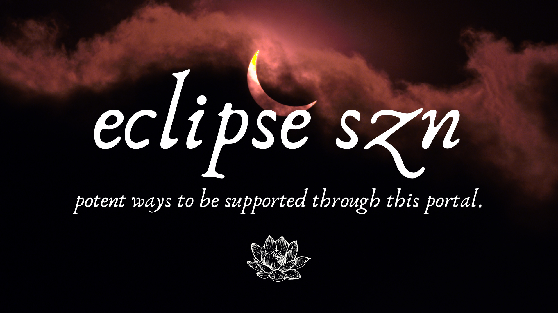 Eclipse Offerings | April 2023 — AUBURN LILY