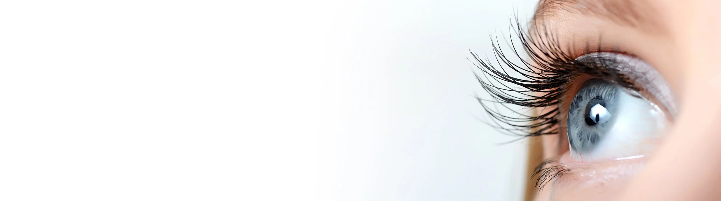 Routine vs. Medical Exams — Rockville Eye Physicians