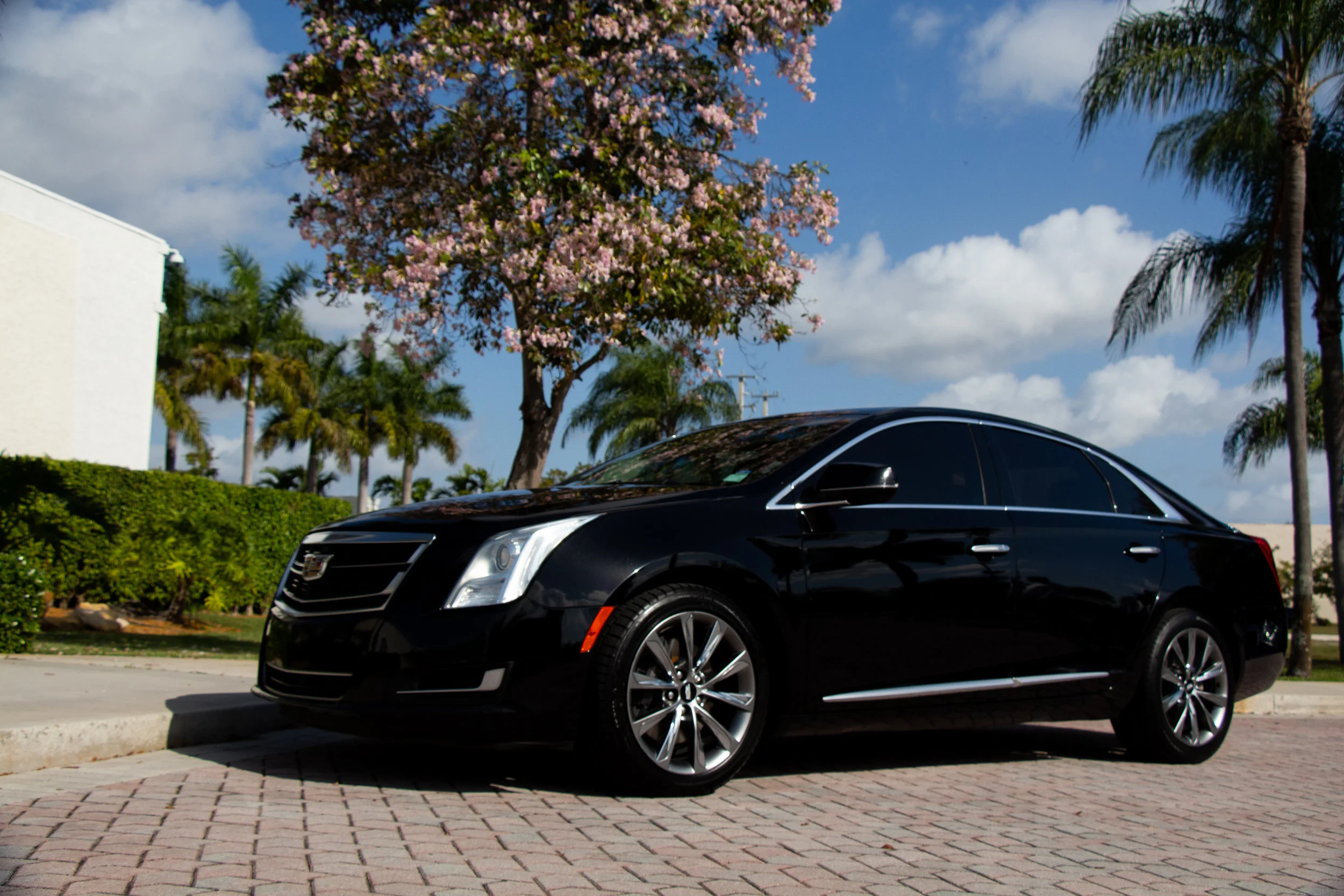 Fleet — Bellwood Global Transportation