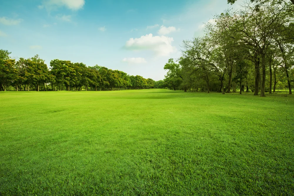 Donate Property for a Charitable Legacy — Property to Charity