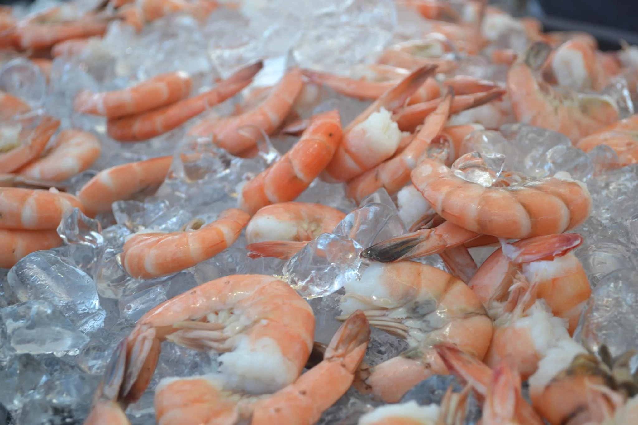 Catering — Mr. Shrimp