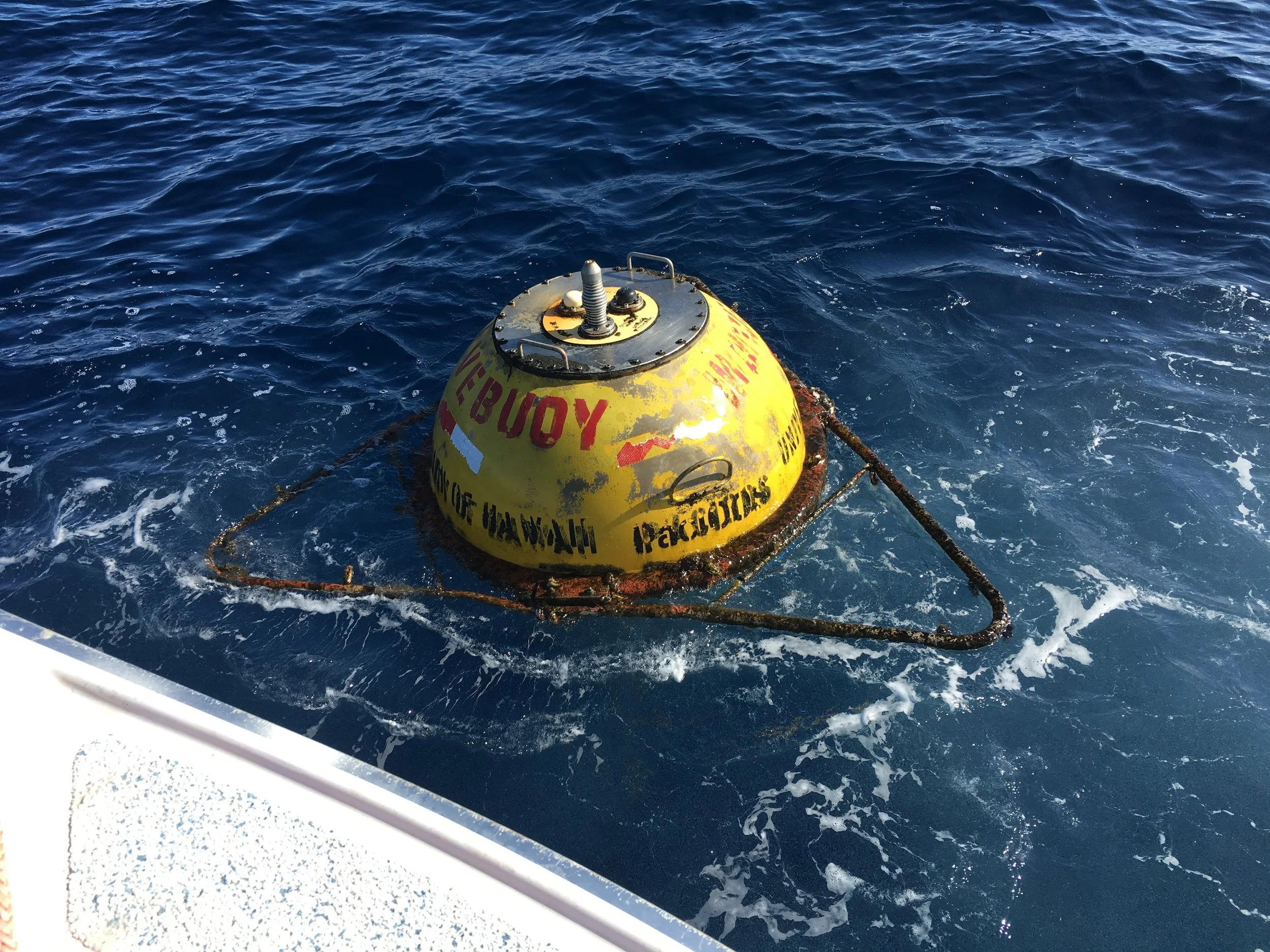 Research — CPhOAME Laboratory