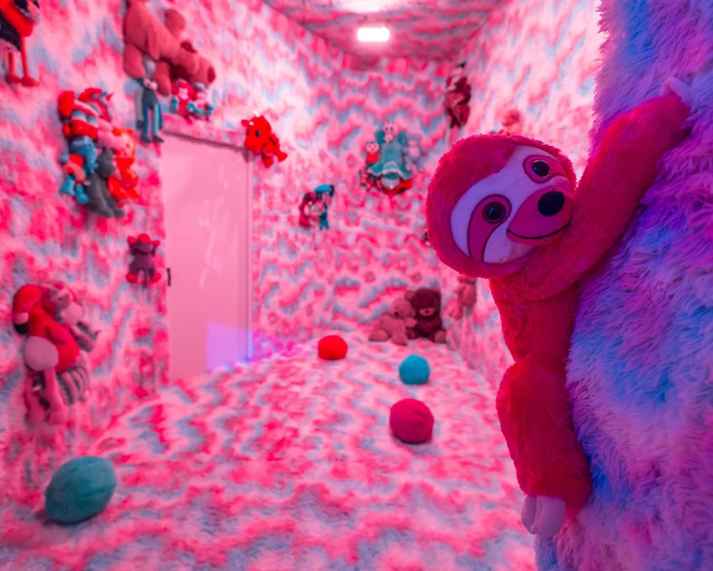 Current Installations — Wonder Chamber