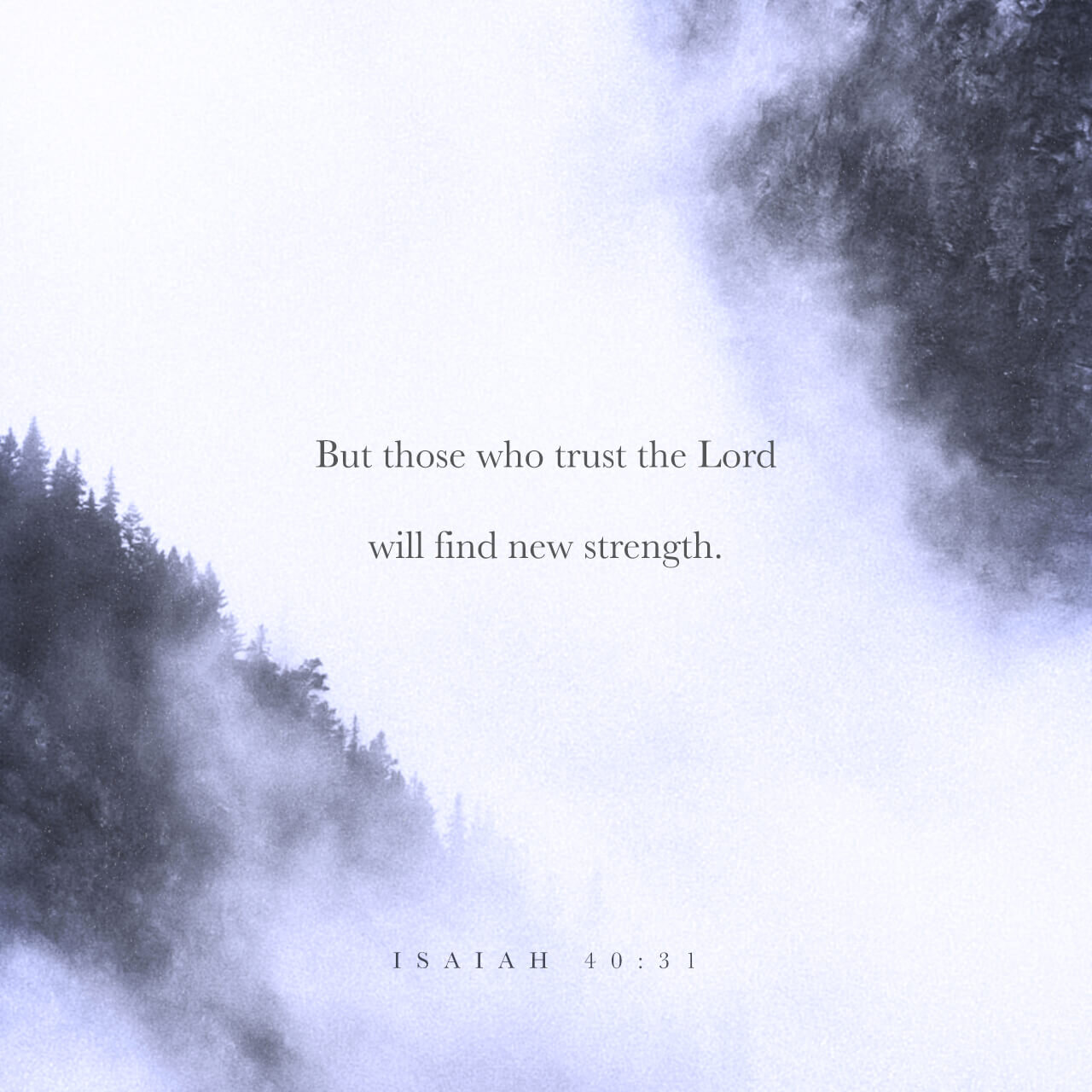 Those Who Hope In The Lord Will Get All The Strength They Need Isaiah Those Who Hope In The Lord Will Get All The Strength They Need Isaiah