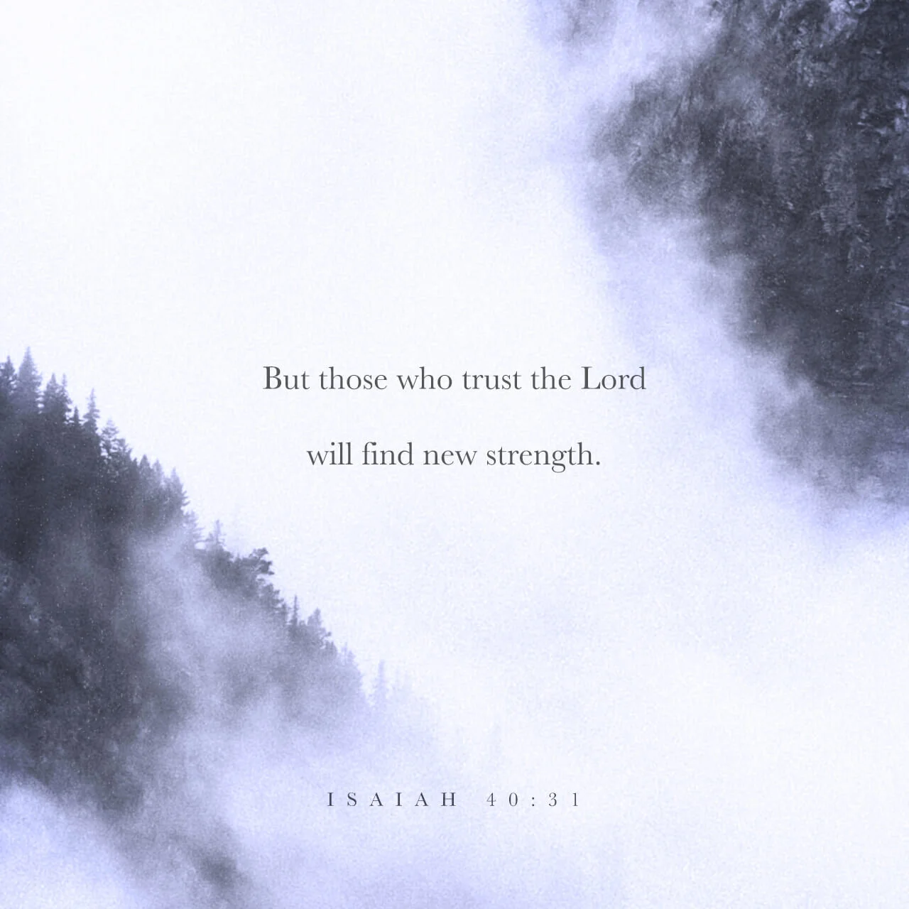 Those Who Hope In The Lord Will Get All The Strength They Need Isaiah