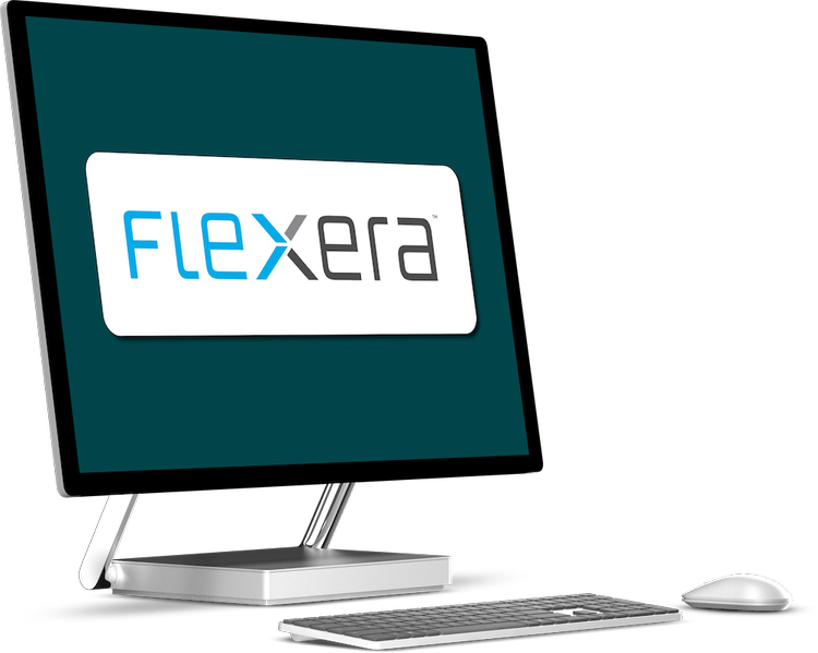Flexera Downloads — CadEnhance