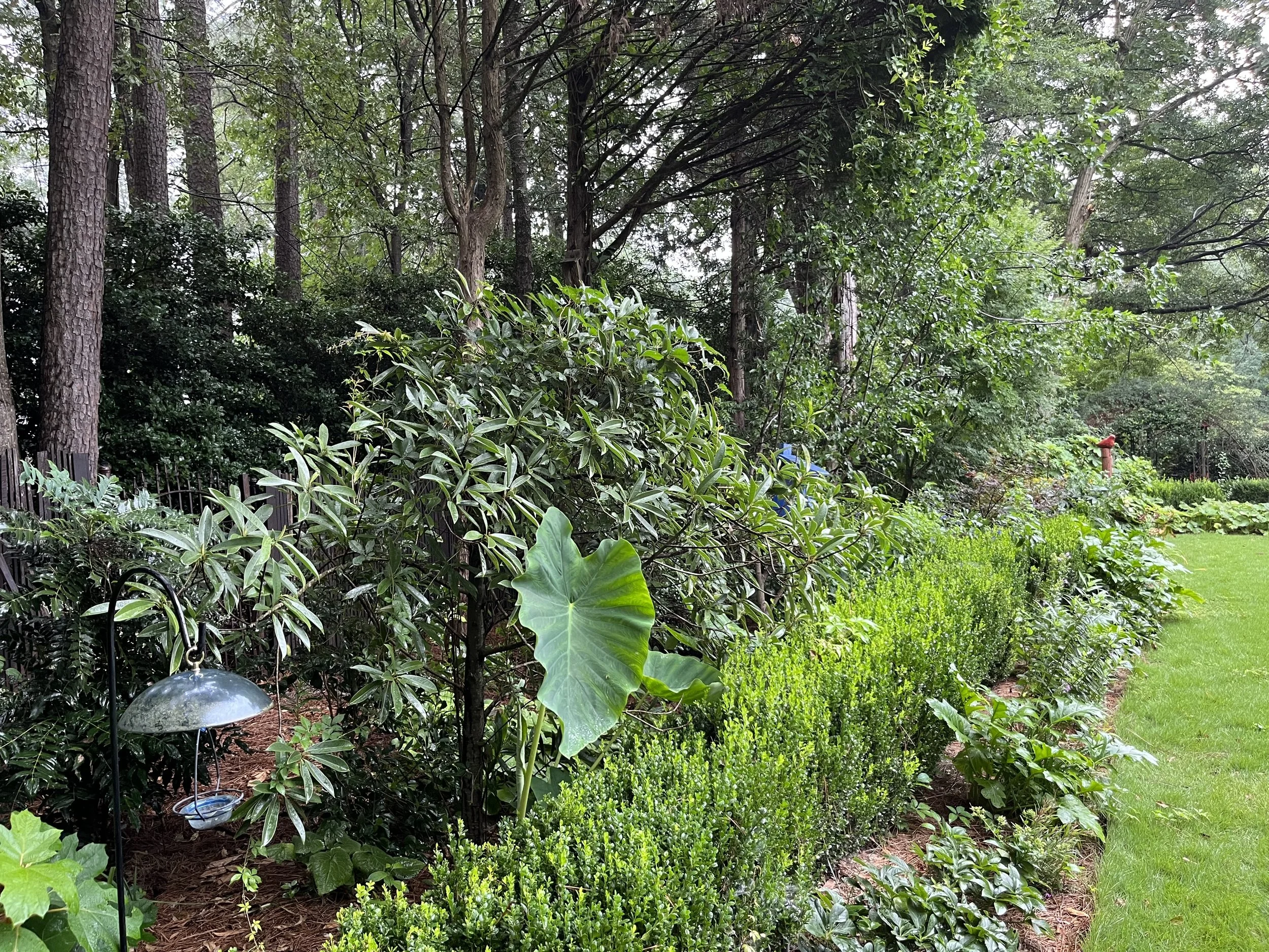 2023 August Garden Sustainable Maintenance — Bee Better Naturally with ...