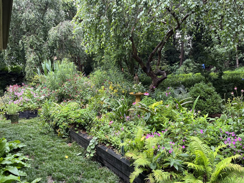 2023 August Garden Sustainable Stewardship — Bee Better Naturally with ...