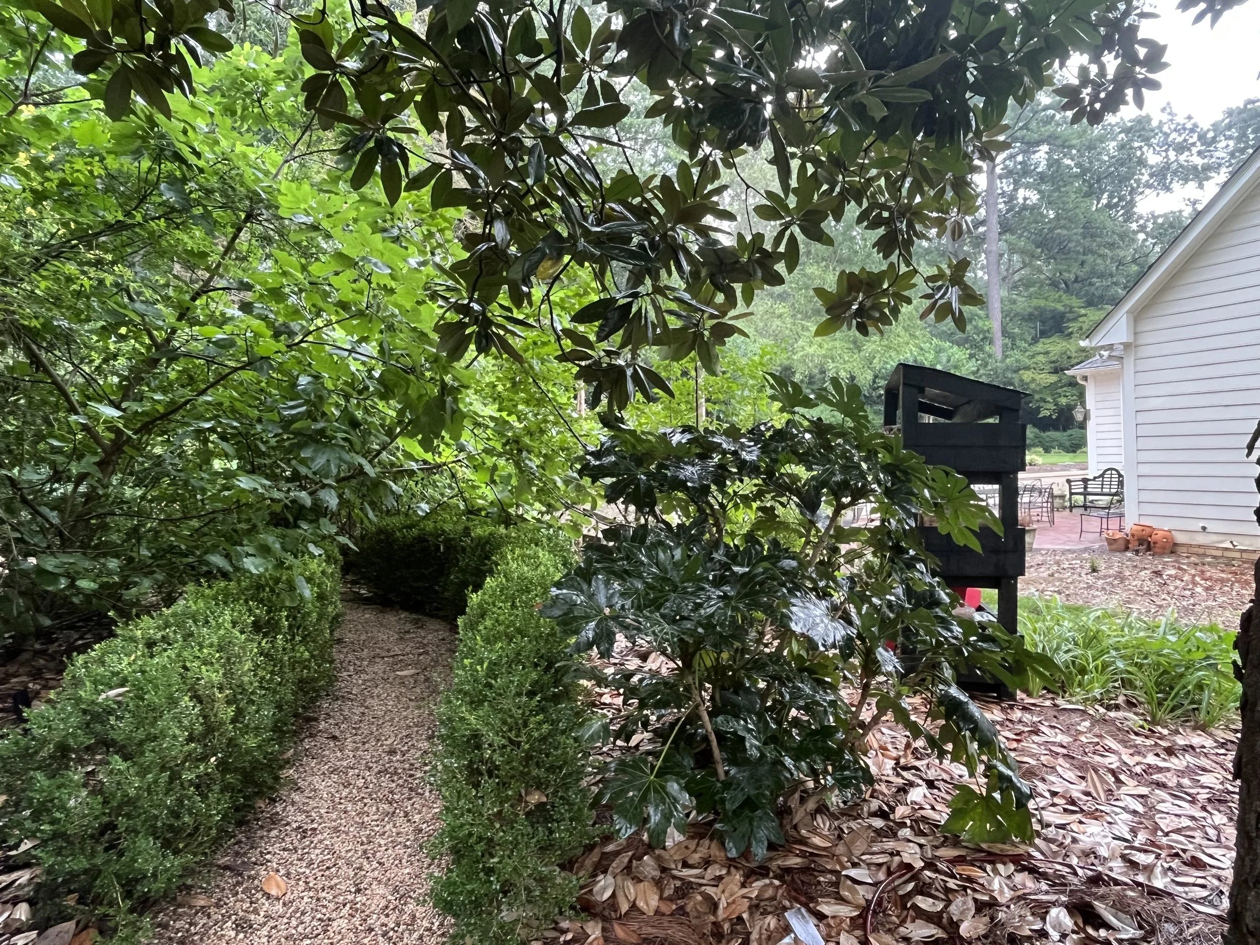 2023 August Garden Sustainable Maintenance — Bee Better Naturally with ...