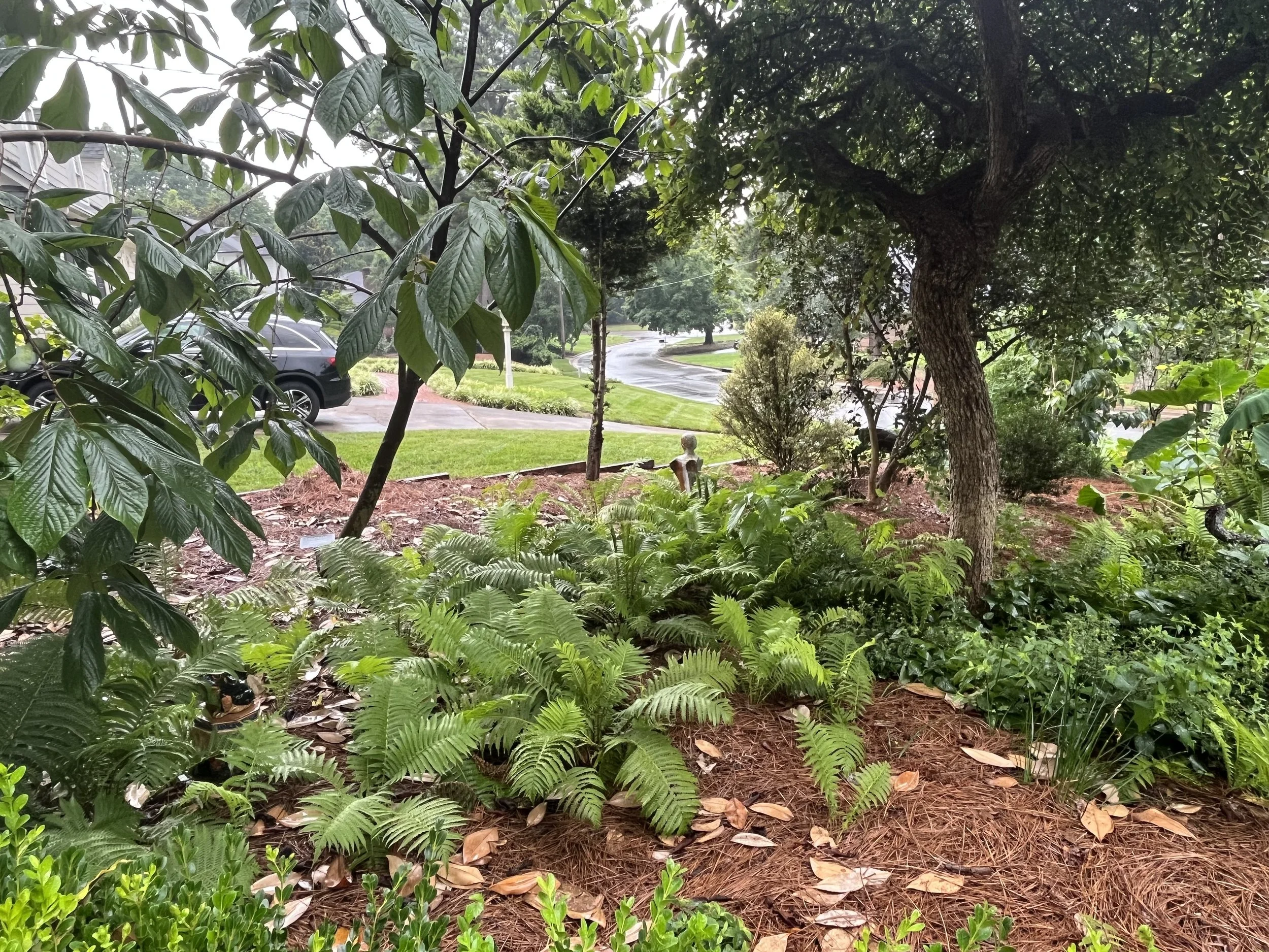 2023 August Garden Sustainable Maintenance — Bee Better Naturally with ...