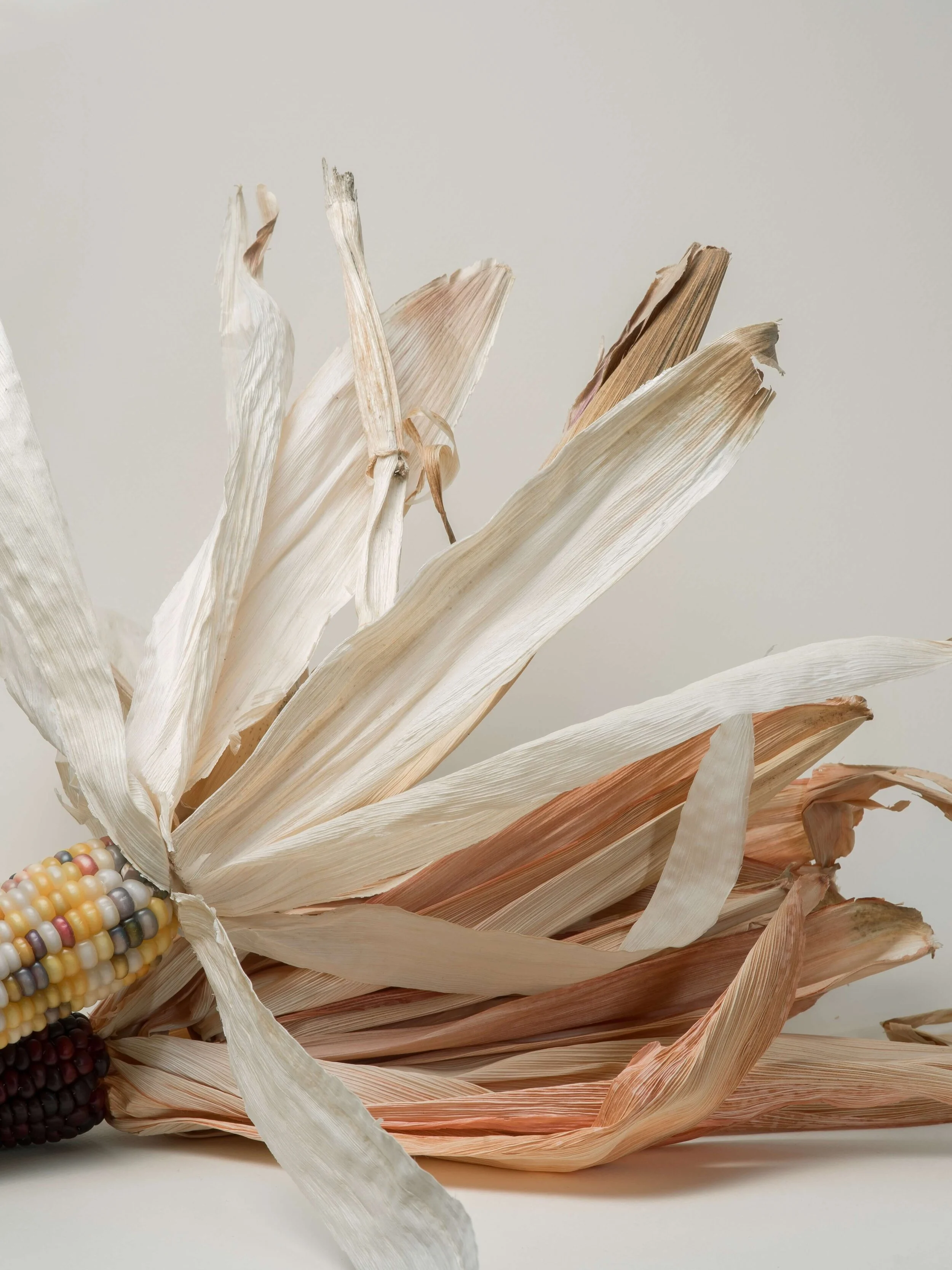 Modern Farm House - Interior Design Style — drift & co