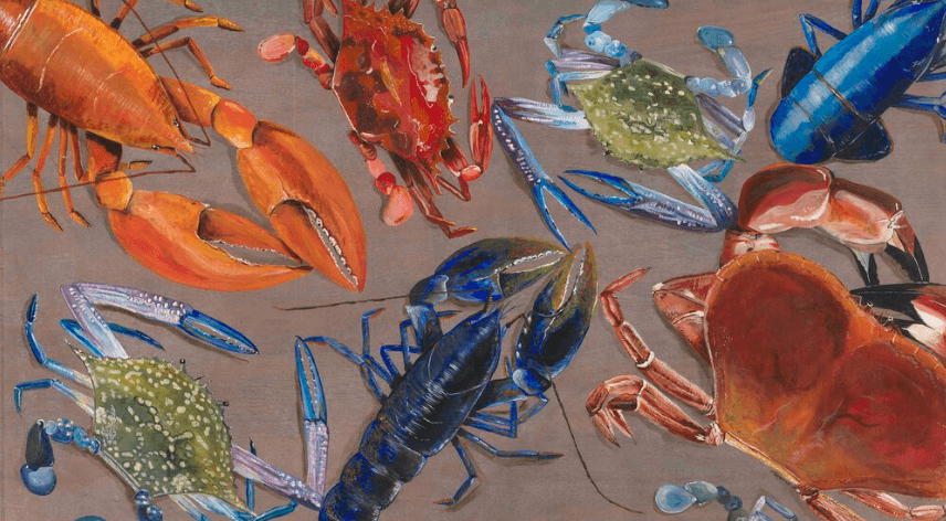 Five Cornish Artists — drift & co