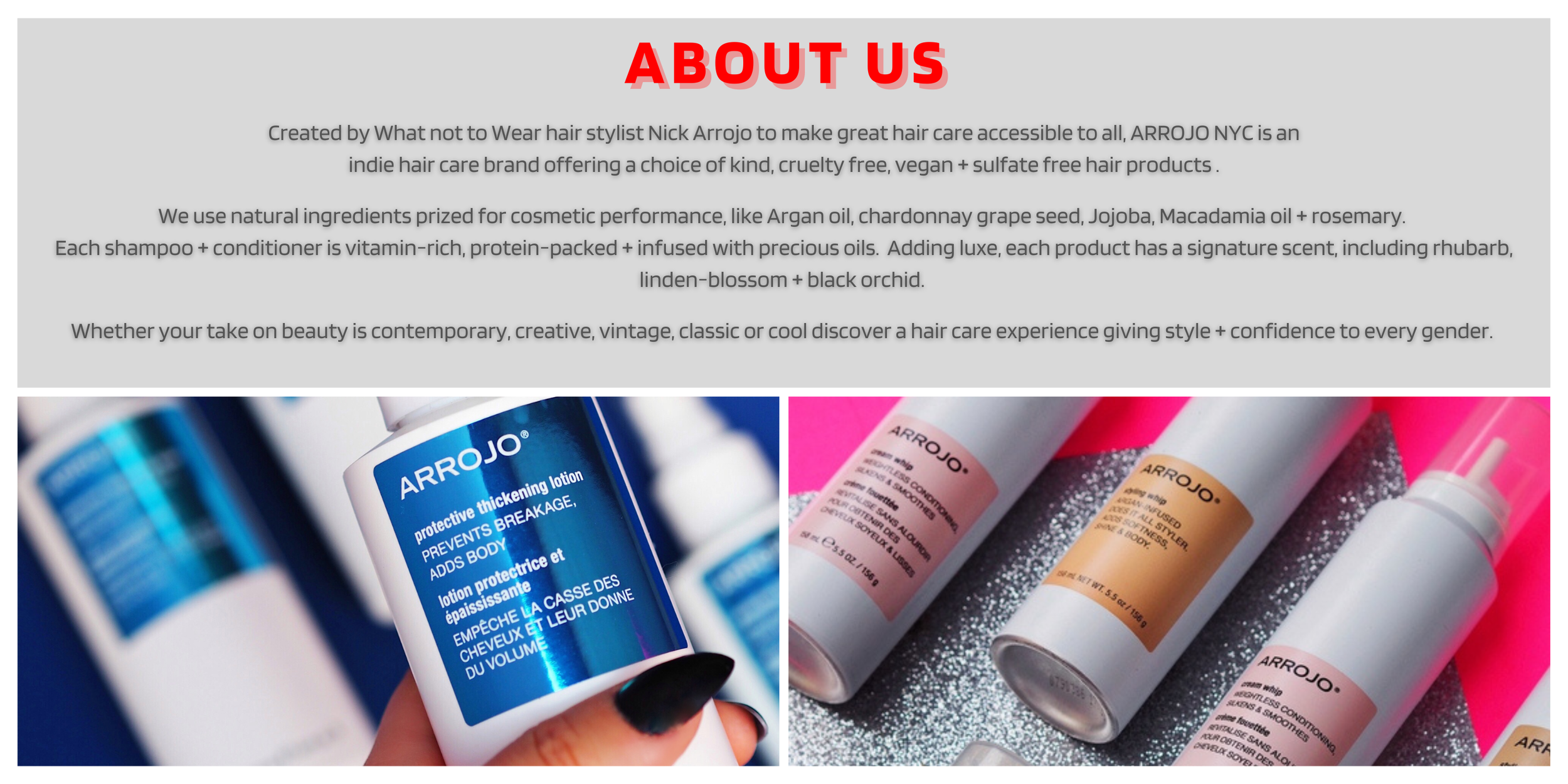 ABOUT ARROJO PRODUCT — ARROJO