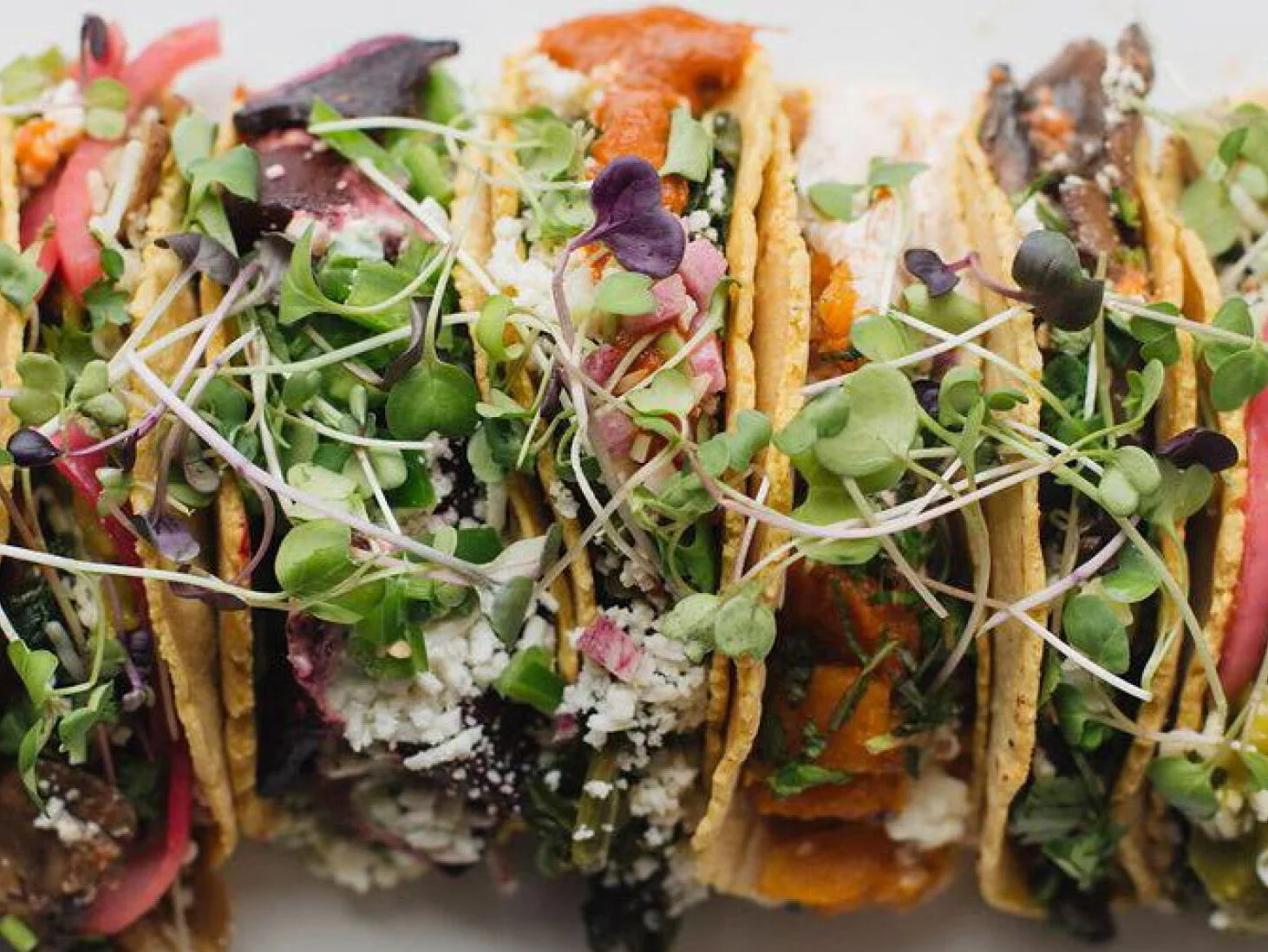 The Plant-Forward Kitchen