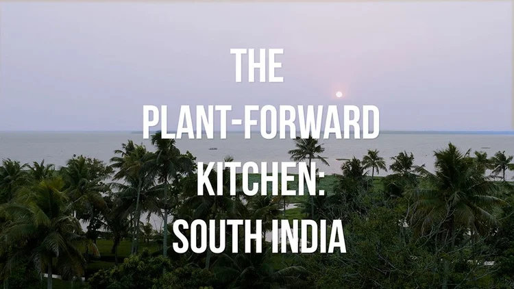 The Plant-Forward Kitchen