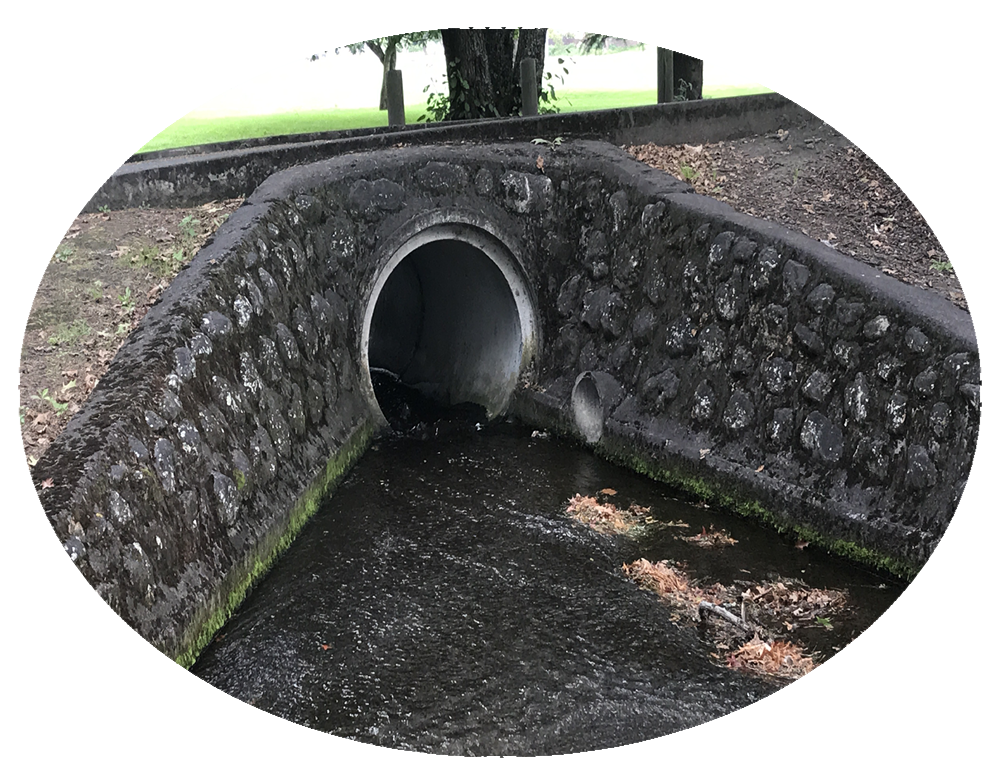 BARRIERS TO FISH MIGRATION — waitī.nz