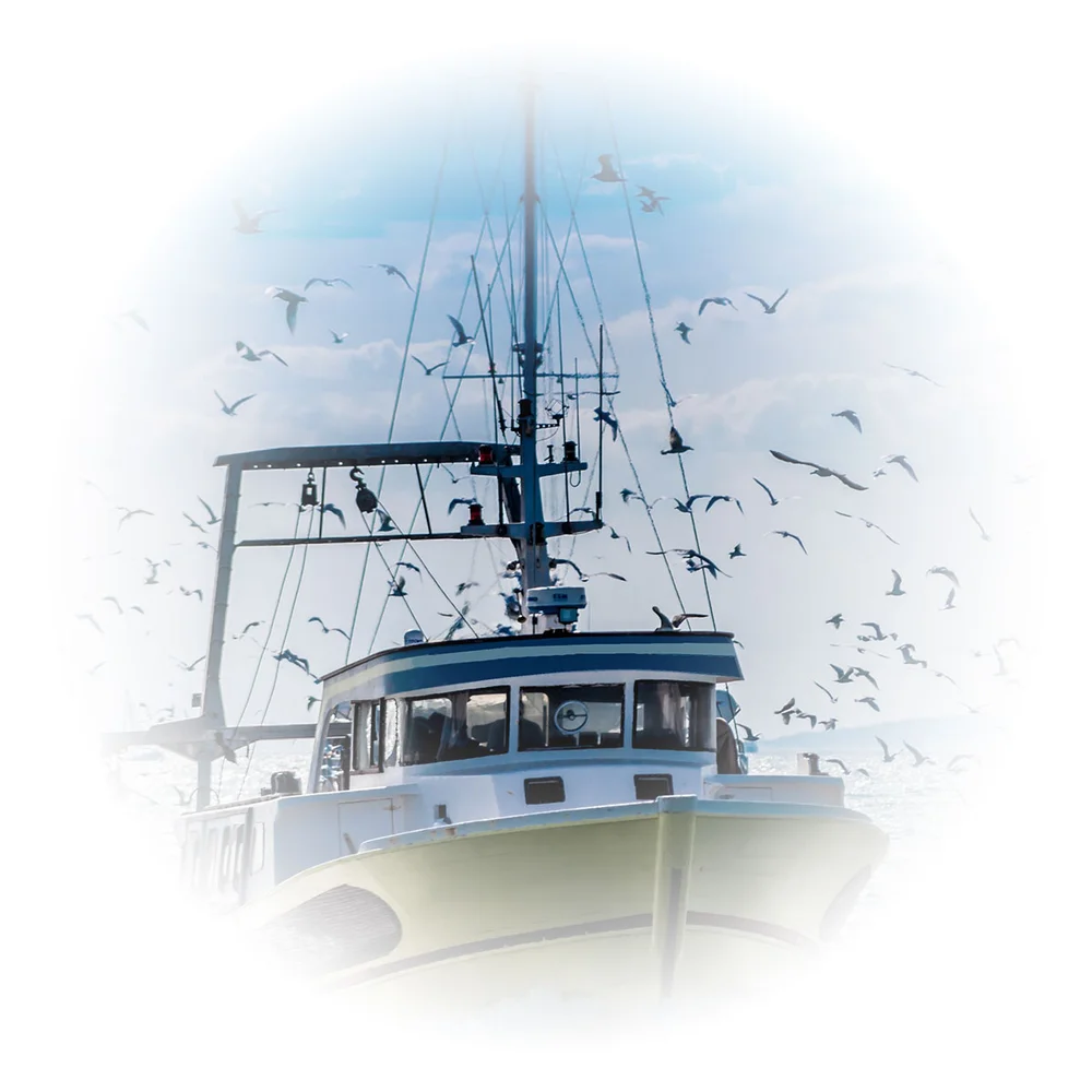 Areas of Expertise — Davidson Associates CPA