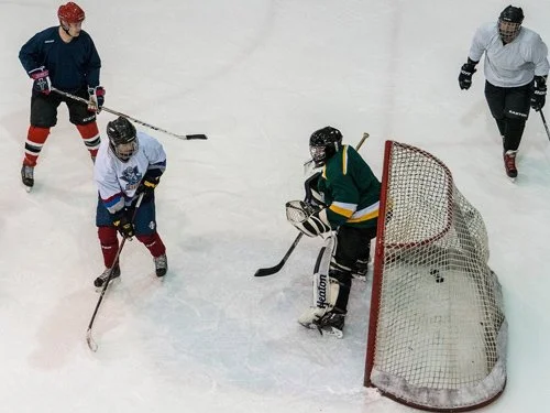 Ice Arena — City of Rogers, MN