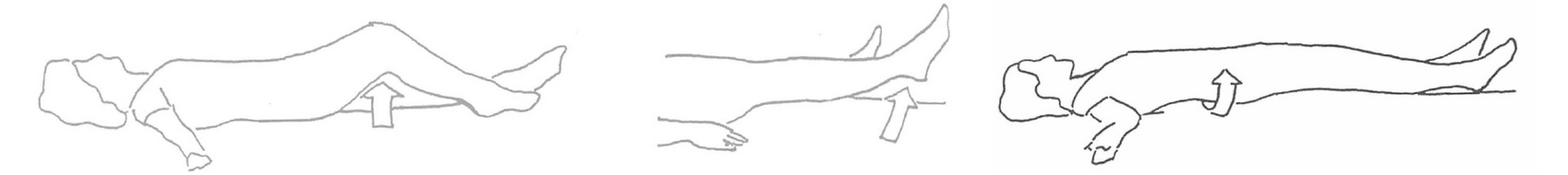 Proprioceptive Somatic Exercises — Hanna Sound Somatics