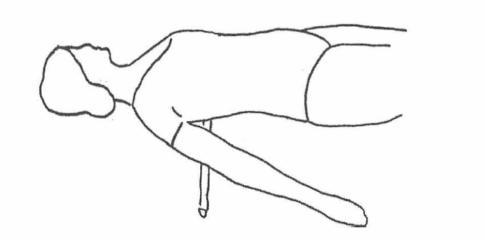 Proprioceptive Somatic Exercises — Hanna Sound Somatics