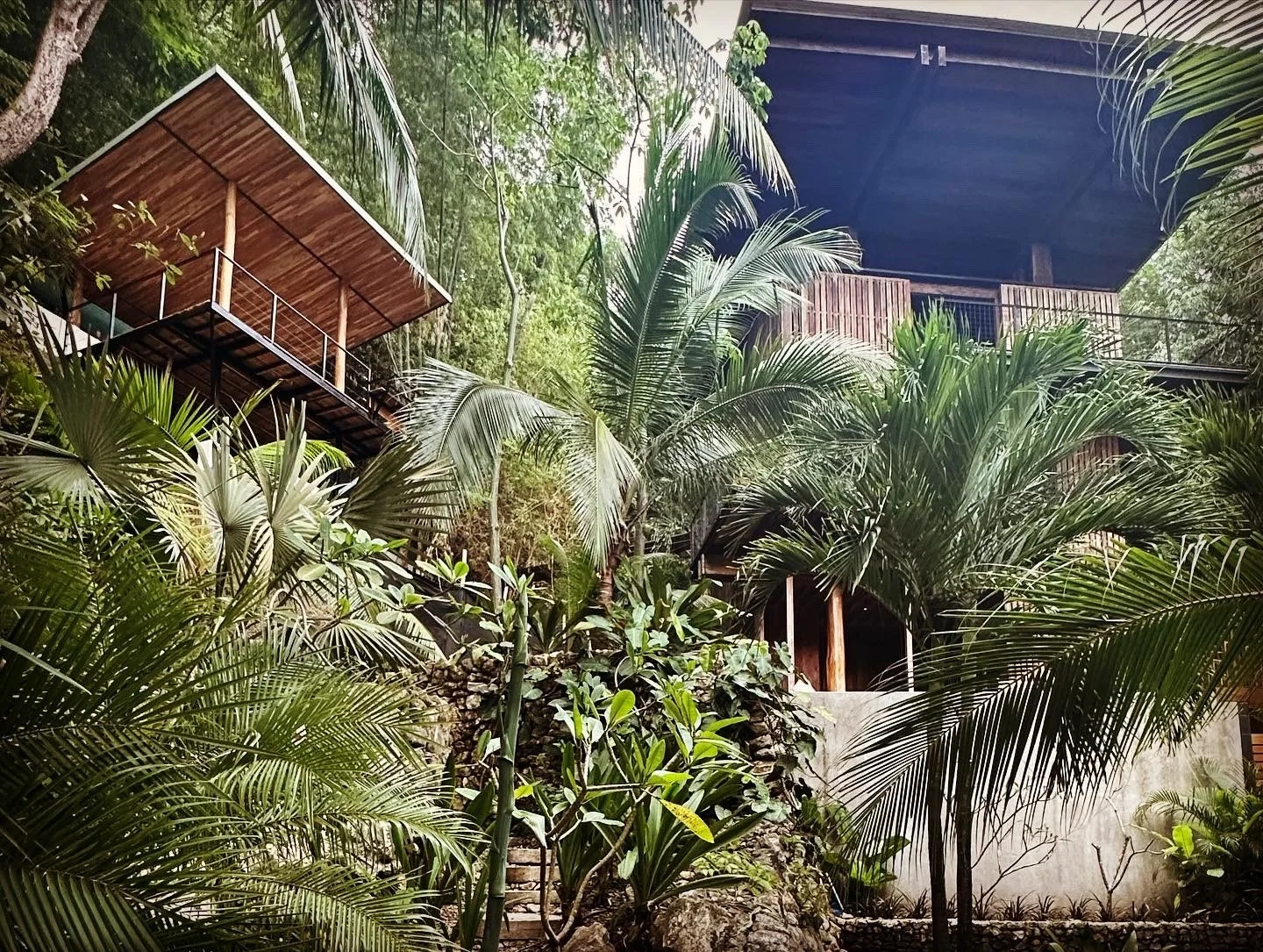 Explore — Hermosa Treehouse