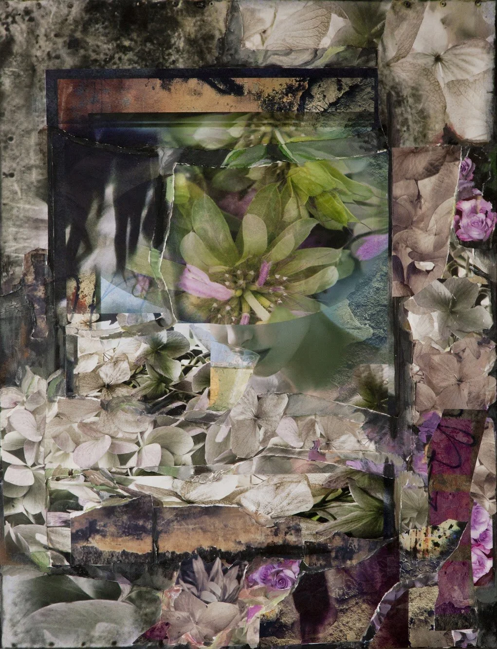 Art to Repair the World With Carol Weinberg — PhotoBook Magazine