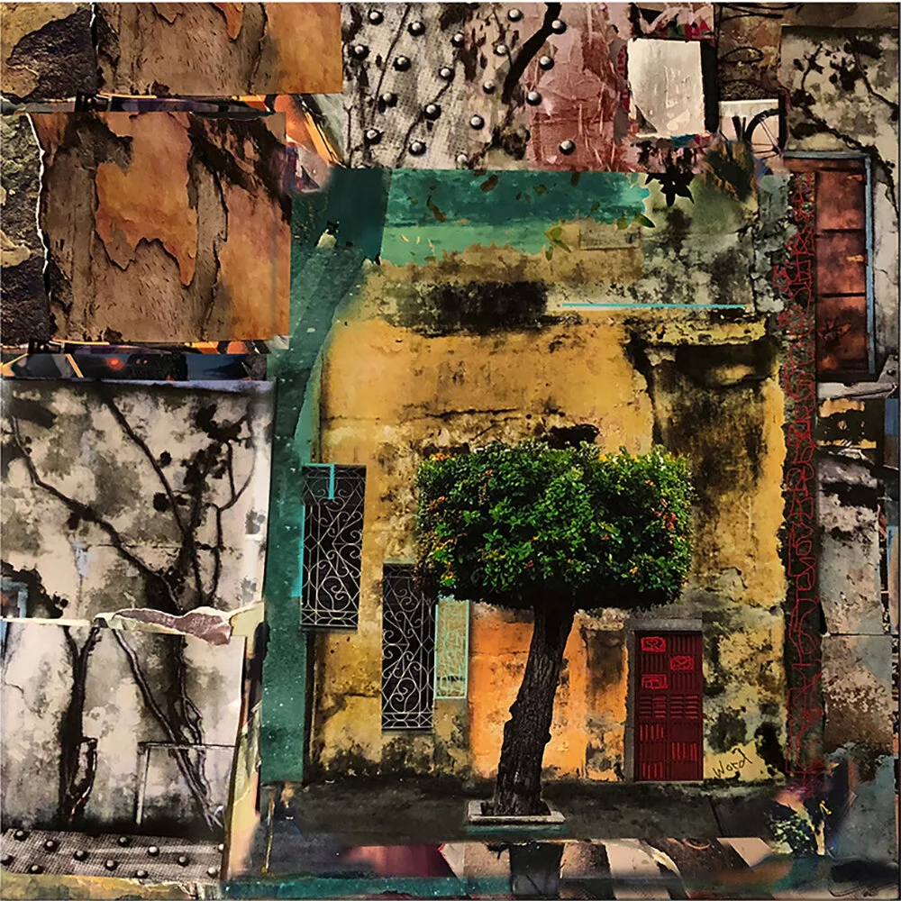 Art to Repair the World With Carol Weinberg — PhotoBook Magazine