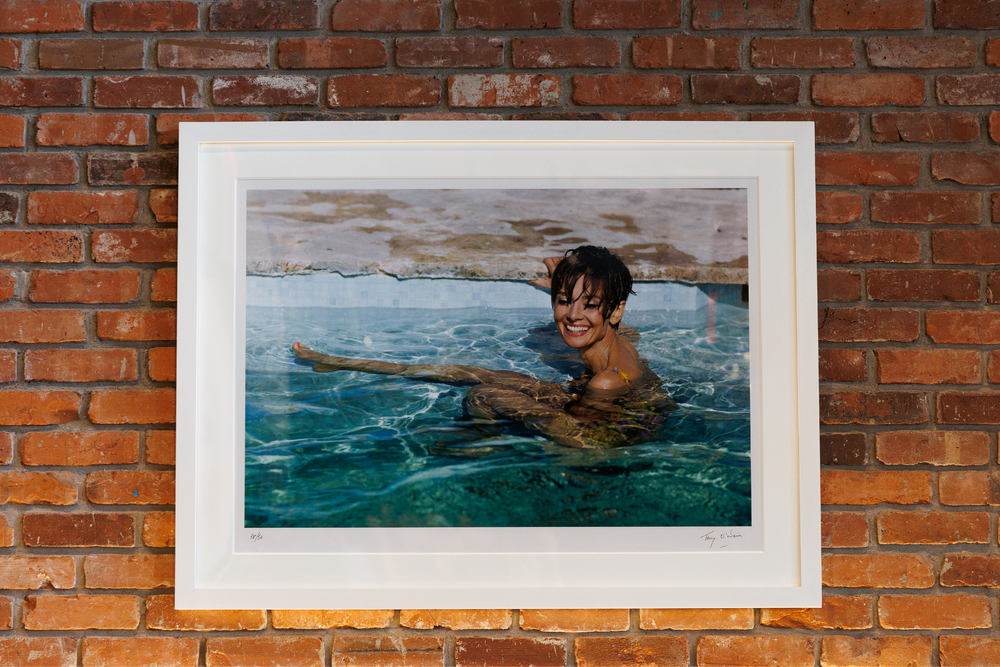 Unveiling of Iconic Photographer Terry O'Neil's Works at Arlo Williamsburg — PhotoBook Magazine